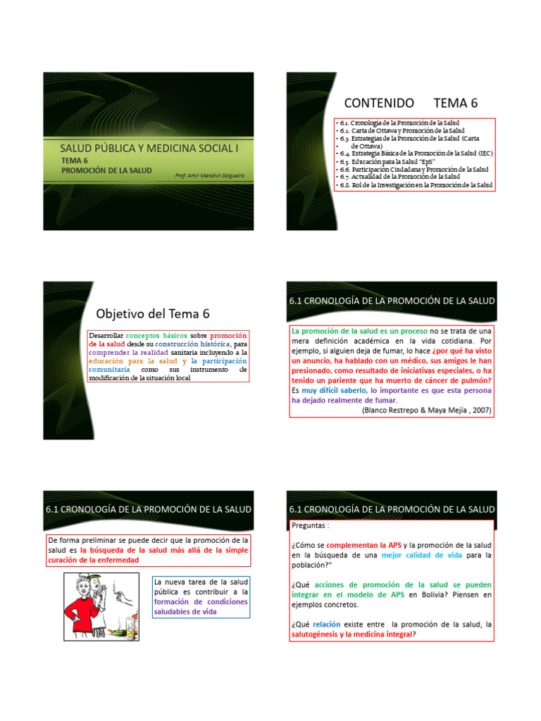 Tema 6, SPMS I 2024 | PDF