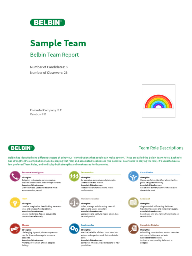 Belbin-8-Team-Report-Sample | PDF
