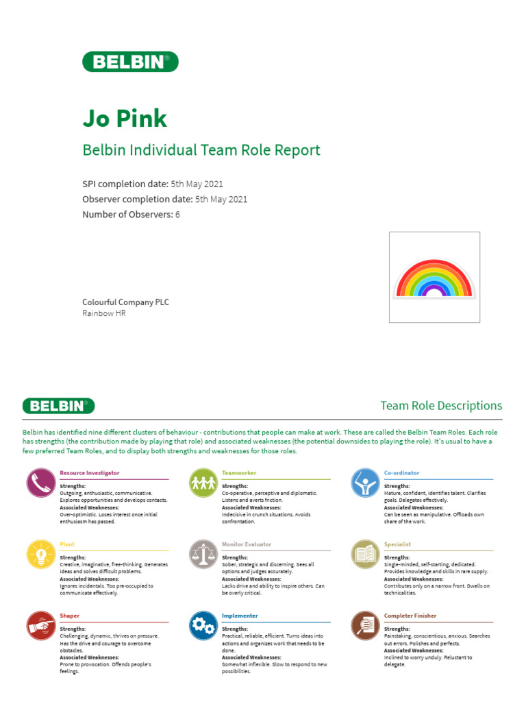 Belbin 8 SPI and Observers Report Sample | PDF