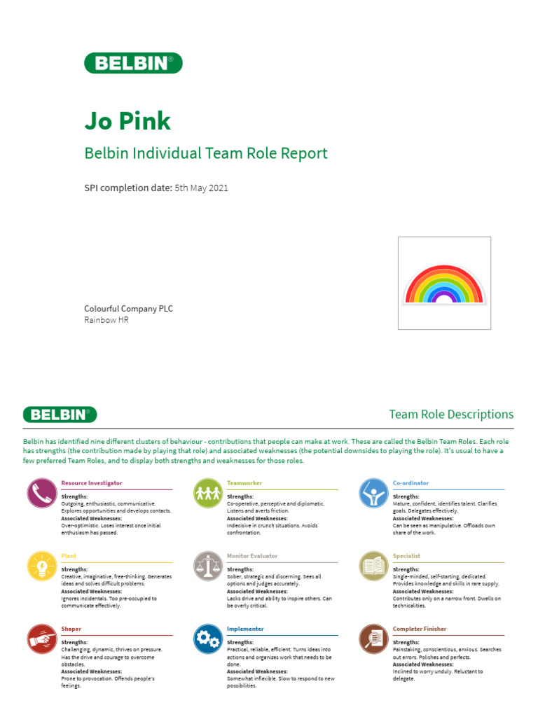 Belbin-8-SPI-Report-Sample | PDF