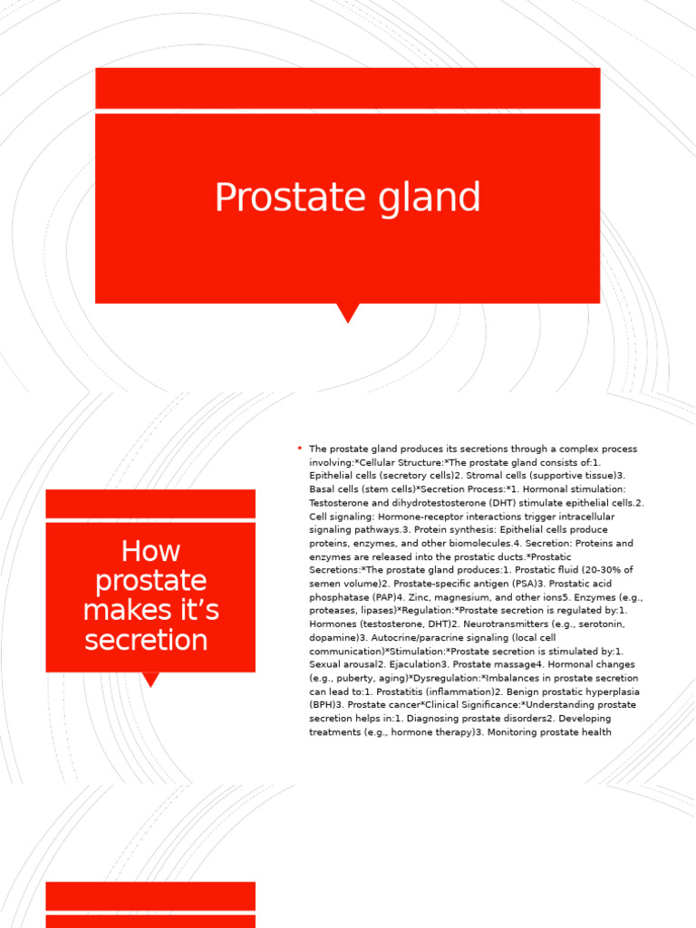 Prostate Gland | PDF