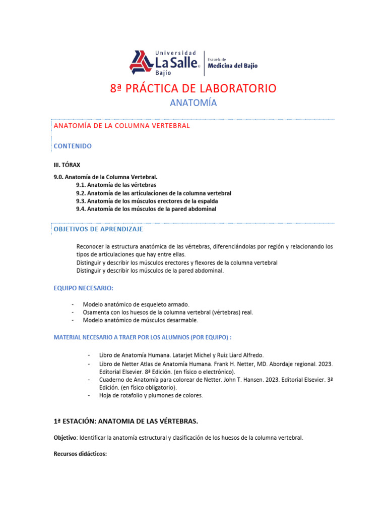 Anatomía de la Columna Vertebral | PDF | Esqueleto | La columna vertebral