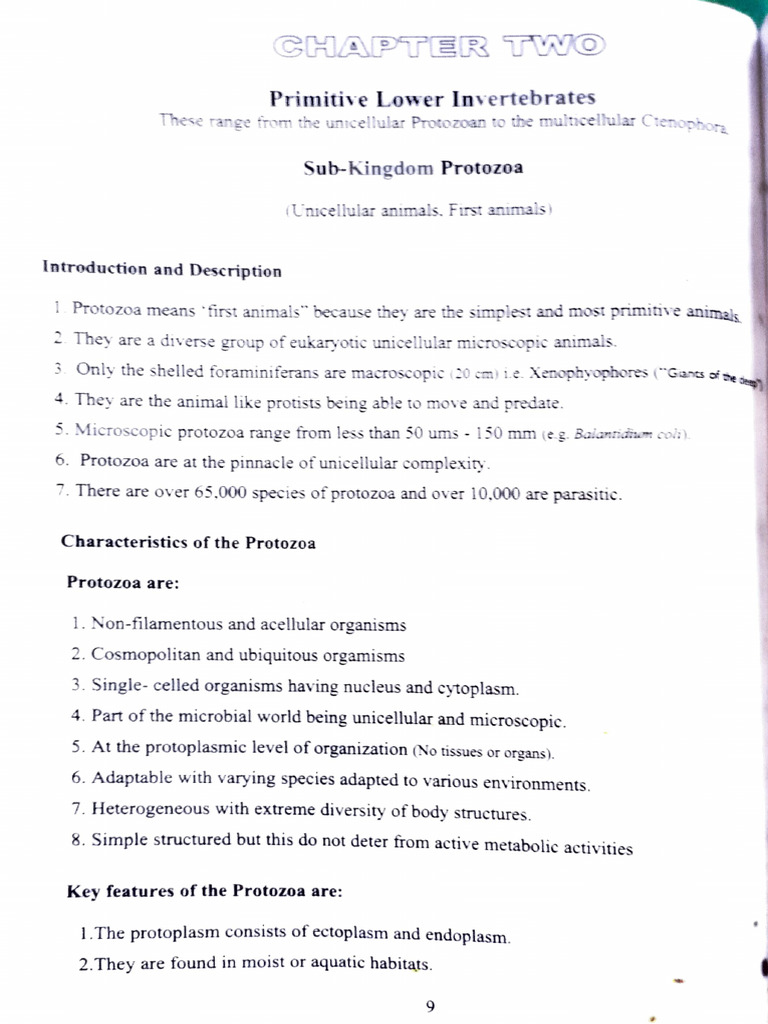 Sub-Kingdom Protozoa | PDF