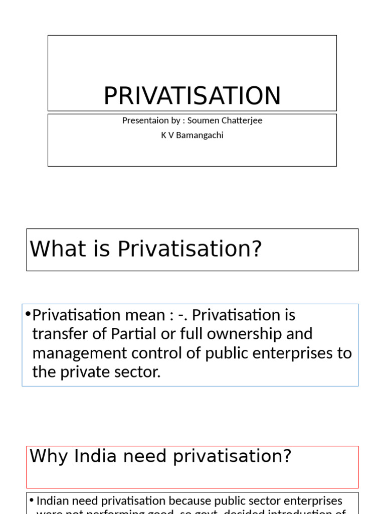 Privatization | PDF