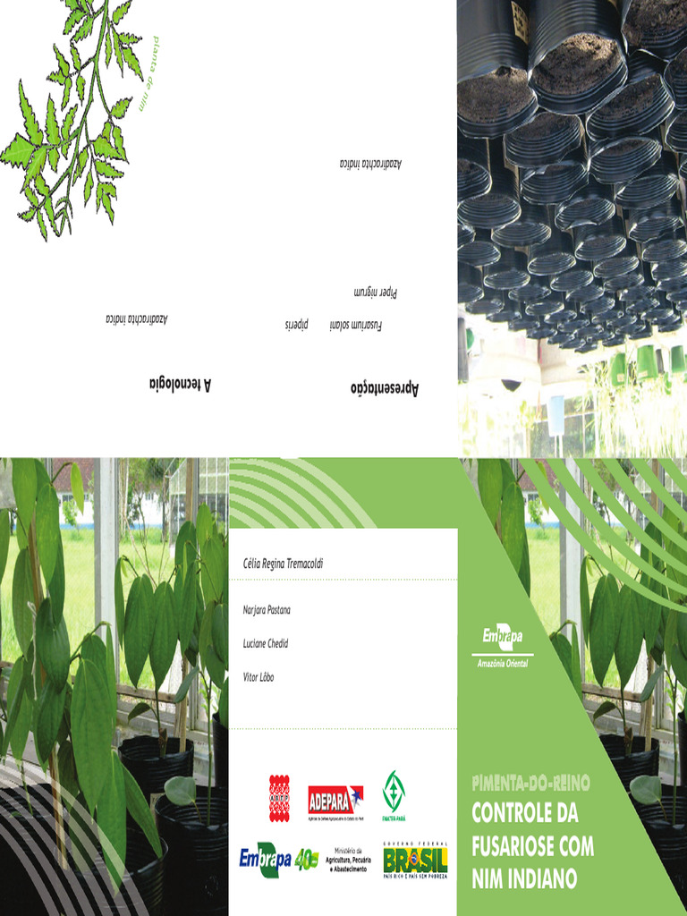 Folder-NIM-Pimenta | PDF