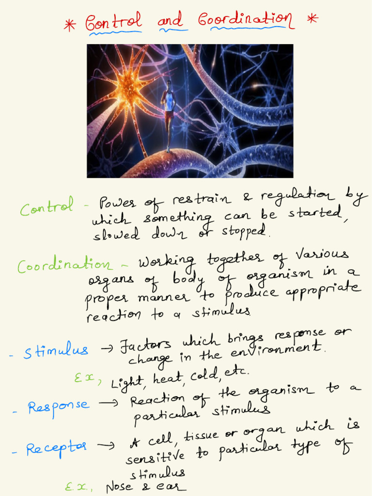 Control & Coordination | PDF