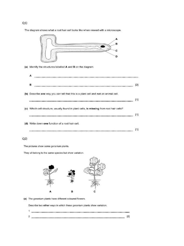 Bio Final Practice 2 (For Independant Learning) | PDF