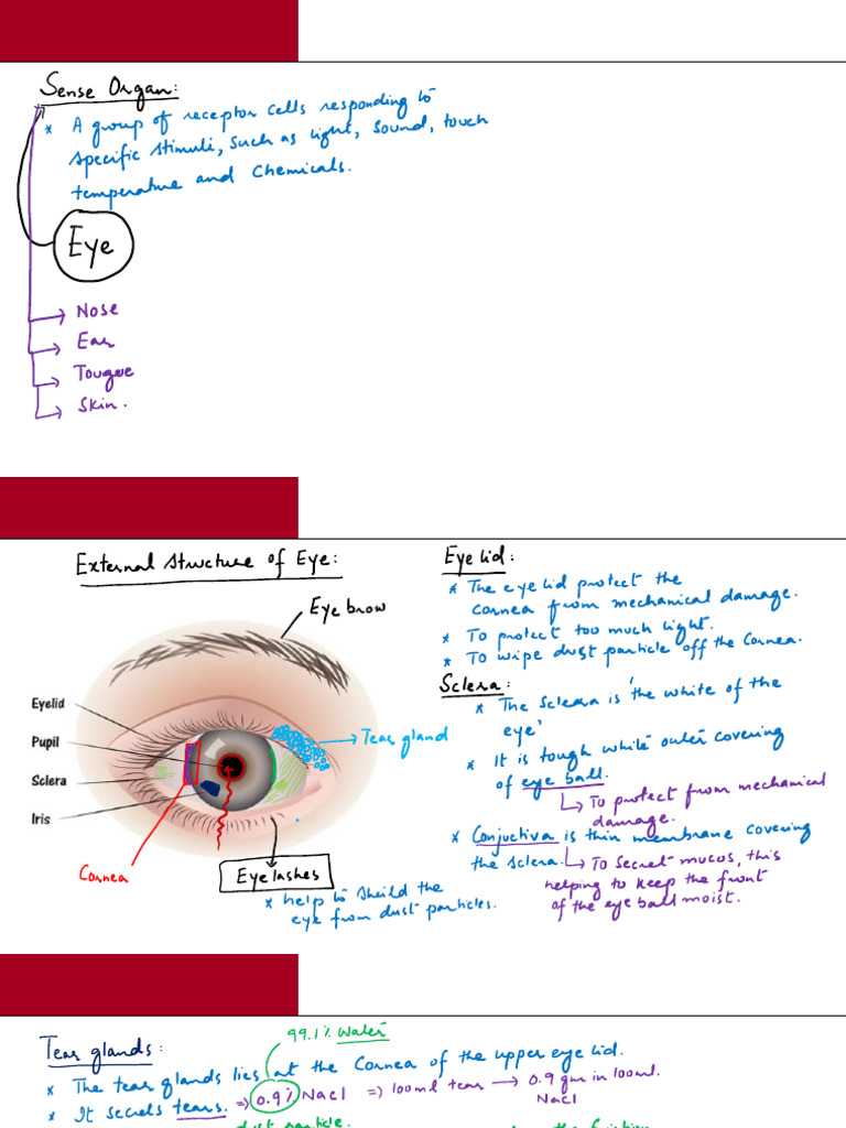 Biology Notes Class XI | PDF Biology Notes Class XI | PDF