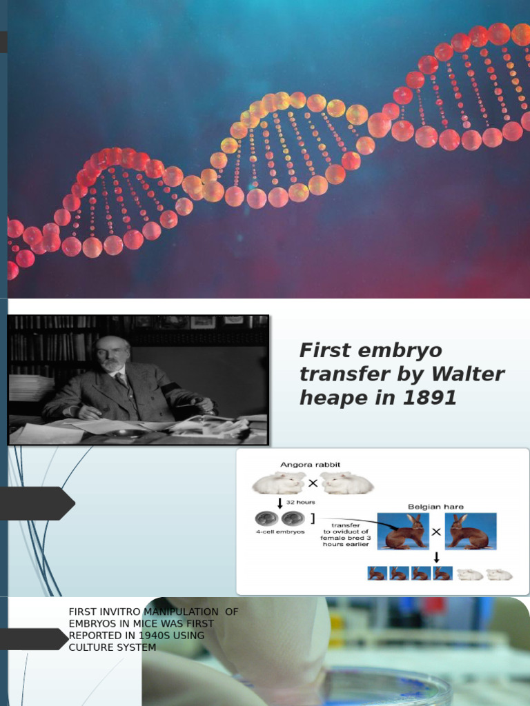 Transgenic Animals | PDF