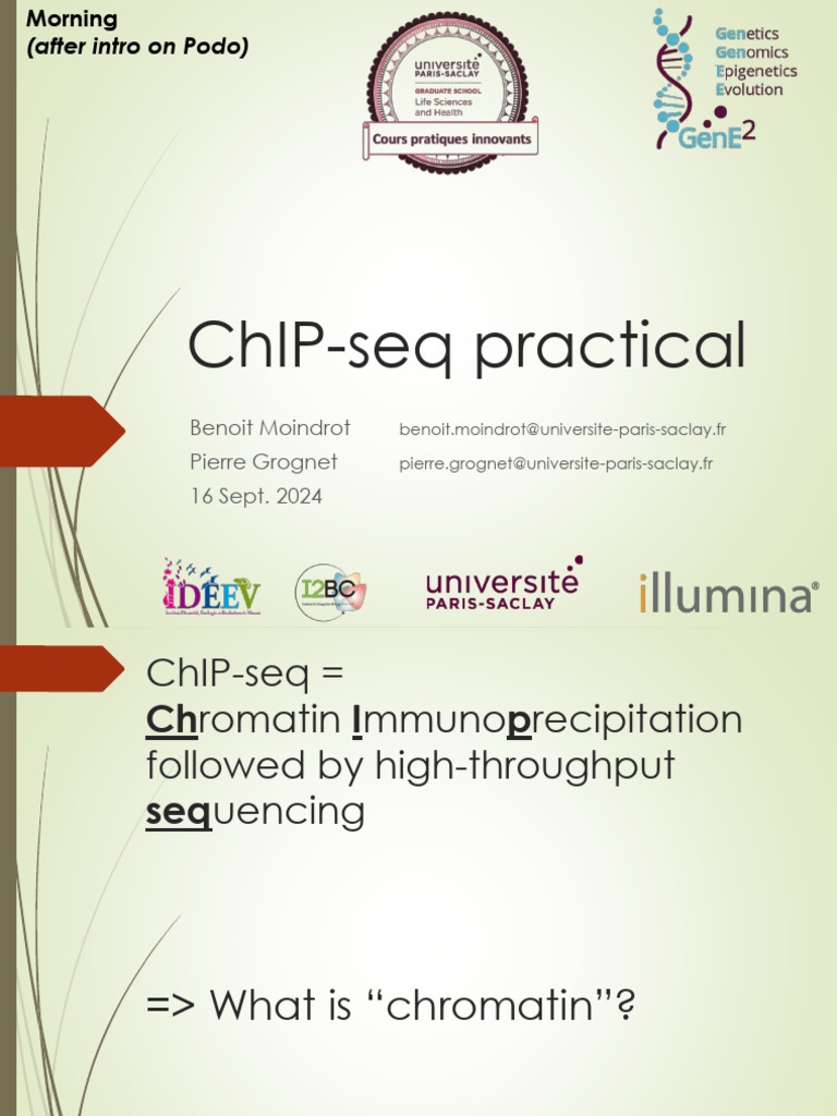 Intro Slides TP ChIP-seq 2024 | PDF