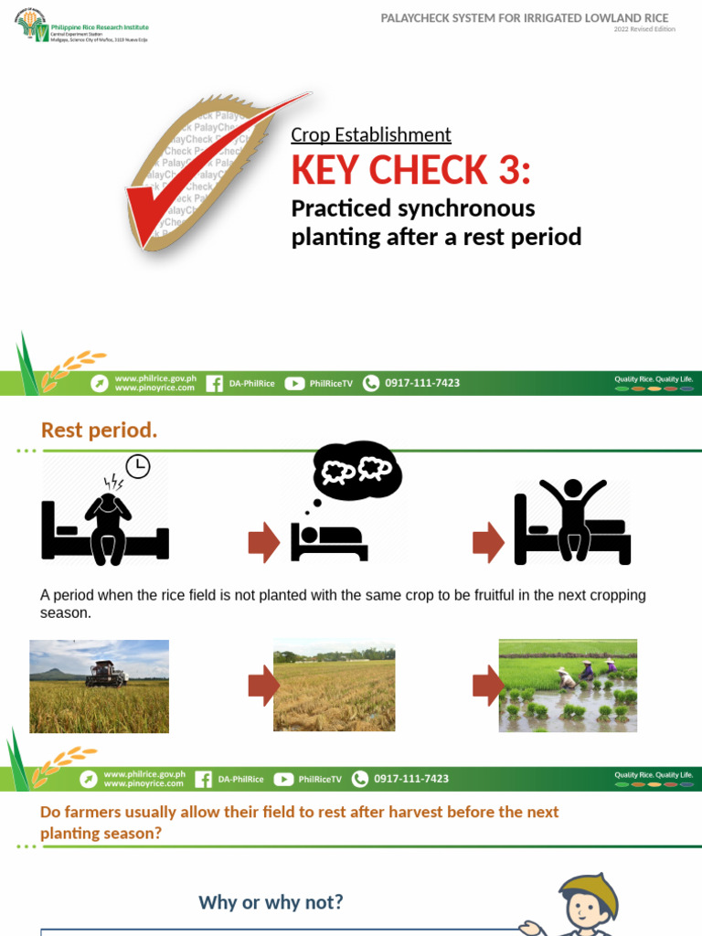 Key Check 3 Final - 2022RevEd (Wide) | PDF