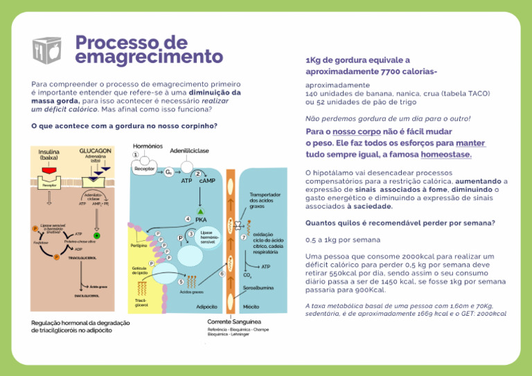 Processo de Emagrecimento Lâmina | PDF