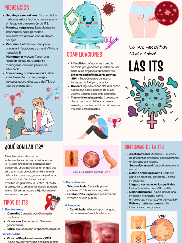 Triptico de las ITS | PDF