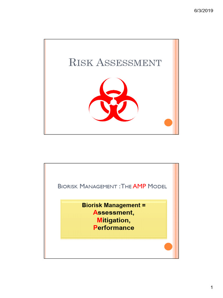Chapter 3 Risk Assessment | PDF