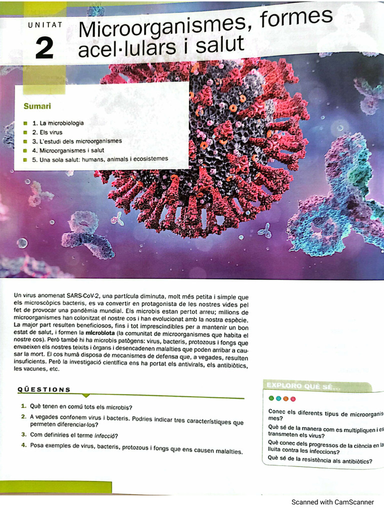 Microorganismes | PDF