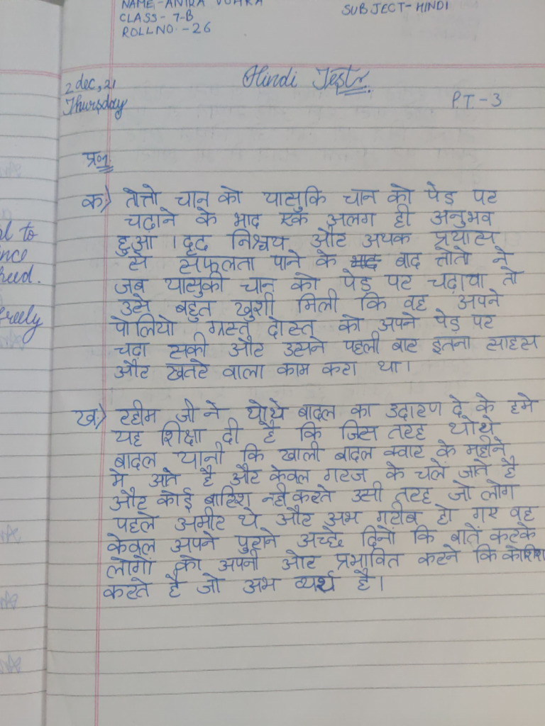 Hindi Paper | PDF