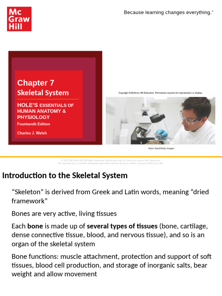 Chapter 7 Skeletal System | PDF