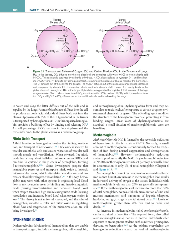 Rodaks Hematology Clinical Principles and Applications by Elaine M | PDF