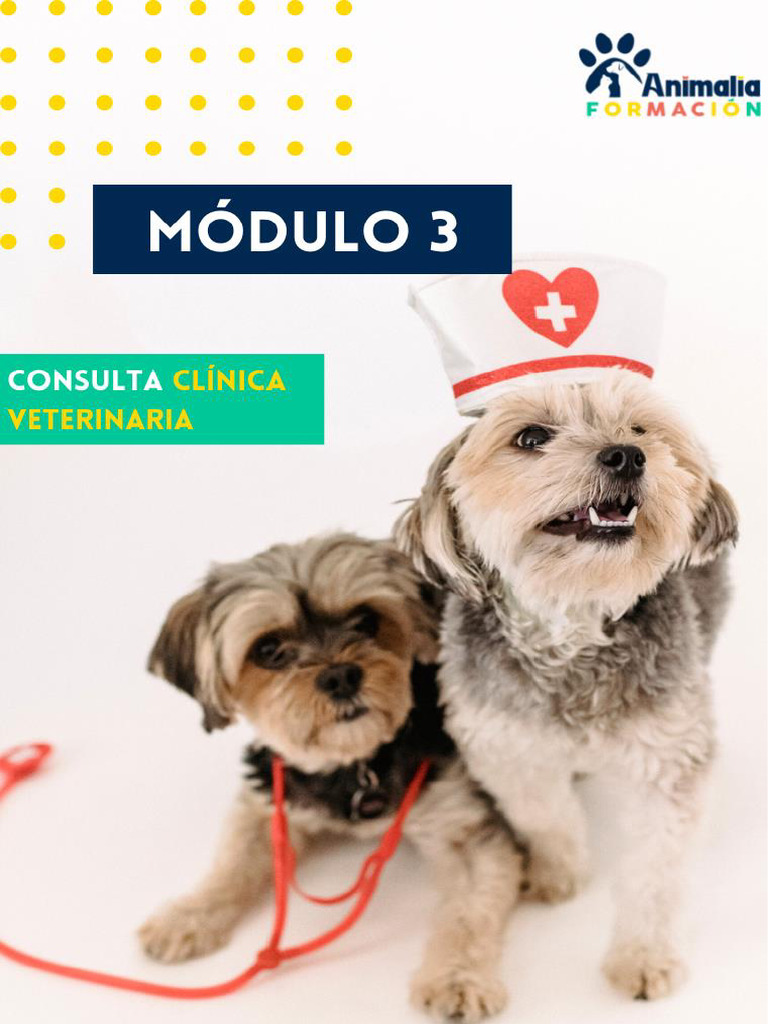 01 - Módulo 3. ATV Tema 1 | PDF