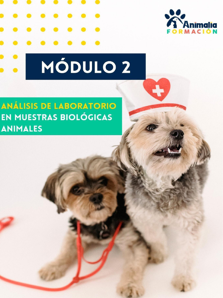 01 - Módulo 2. ATV Tema 4 | PDF