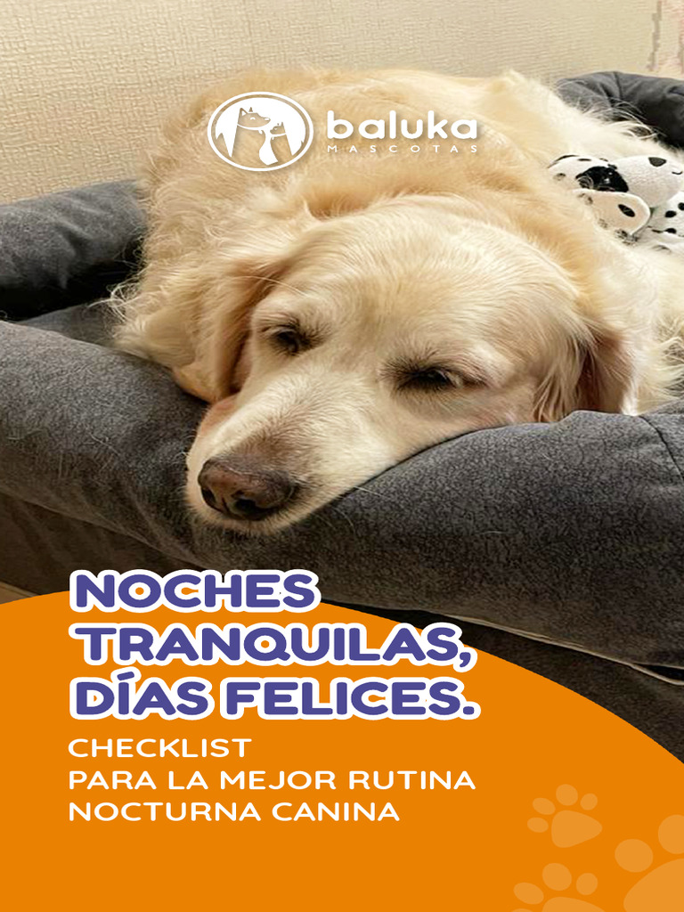 Checklist_para_la_mejor_rutina_nocturna_canina_baluka_mascotas | PDF