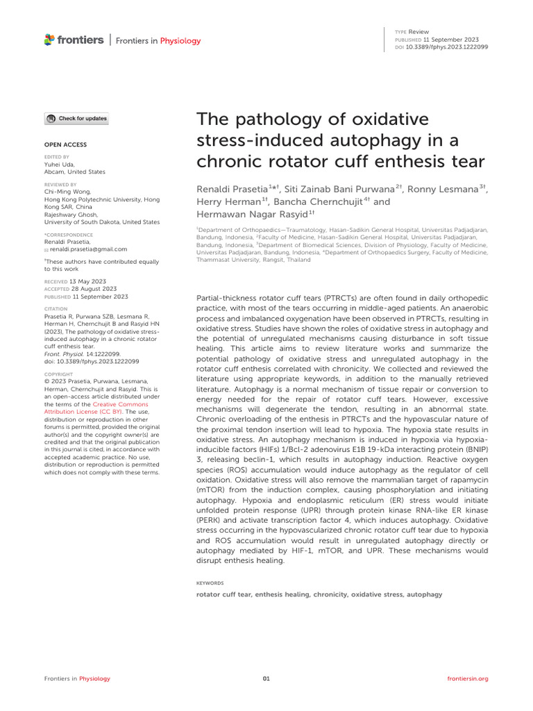 The Pathology of Oxidative Stress-Induced Autophagy in A Chronic ...