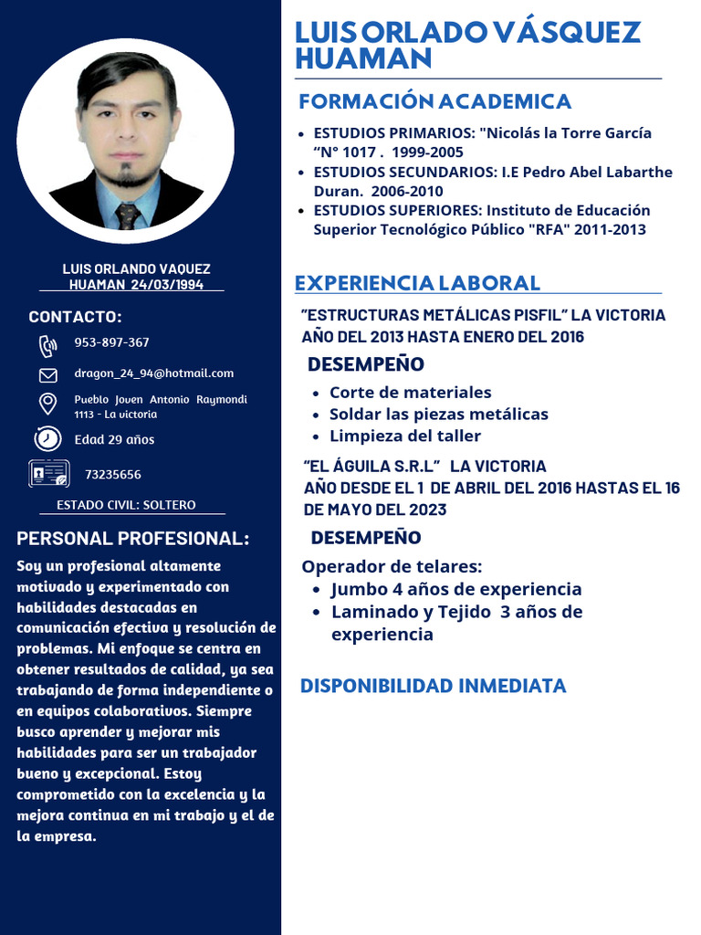 Cv currículum Luis. (2) | PDF