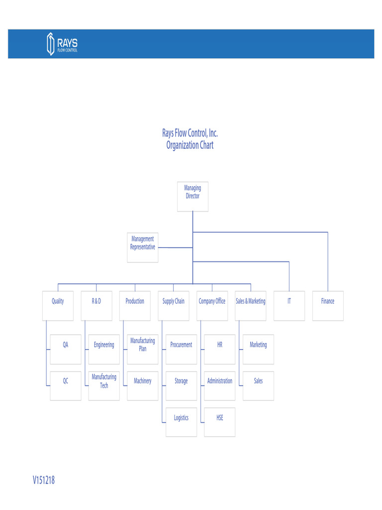 Visio RAYS Organization Chart English | PDF