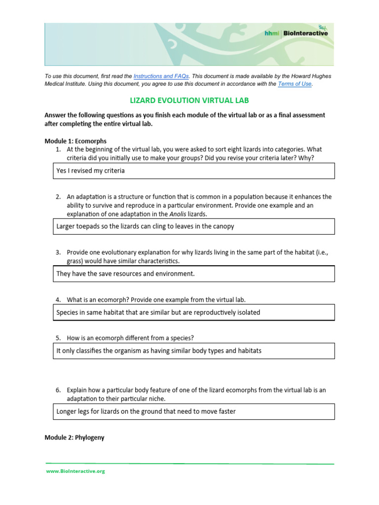 Lizard Evolution | PDF