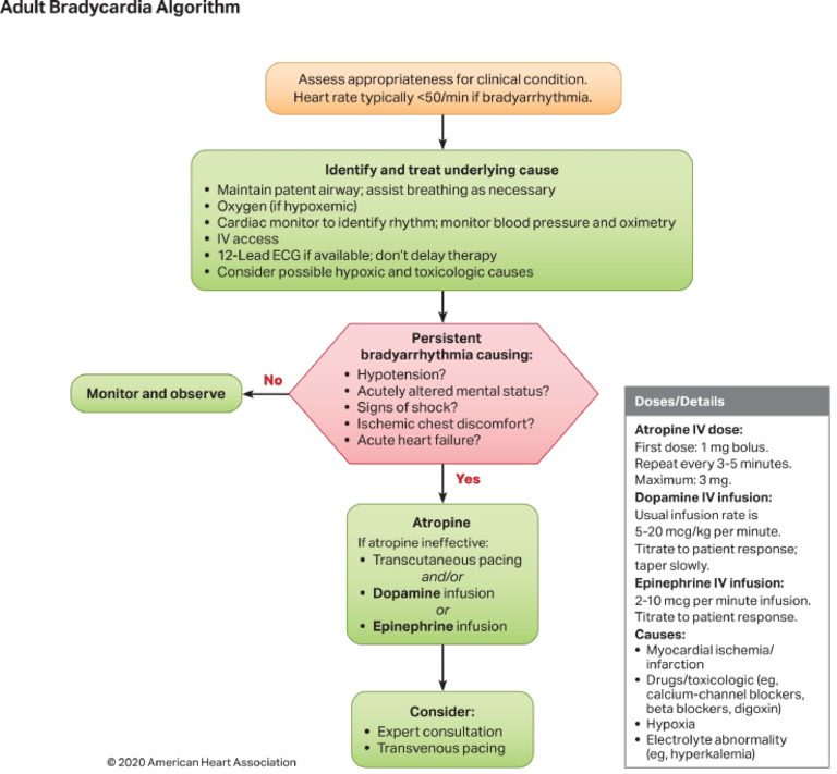 Algorithm-ACLS_Bradycardia_200612 (7) | PDF