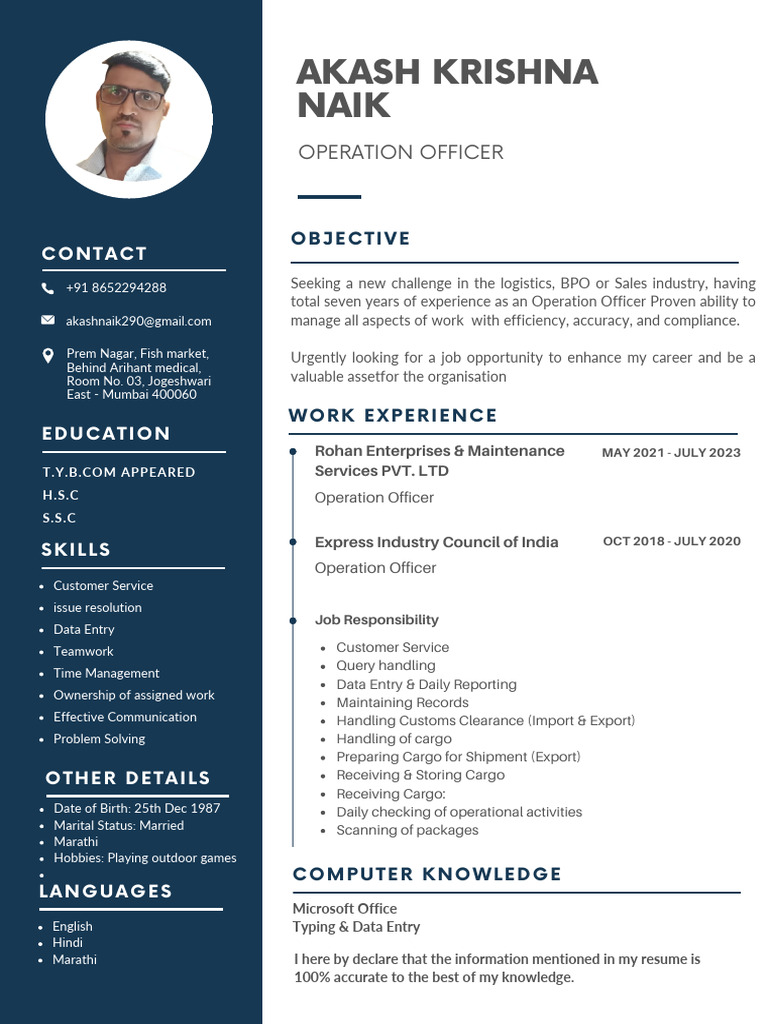 Akash Naik Professional Resume | PDF