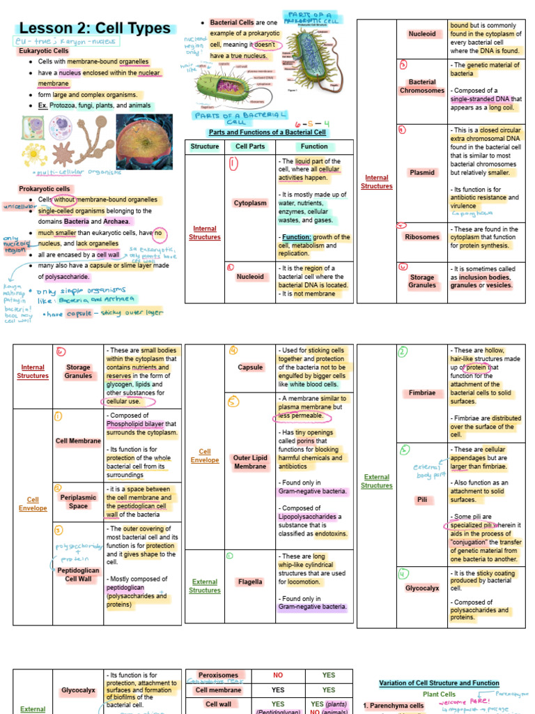 Gen Bio Lesson 2 | PDF