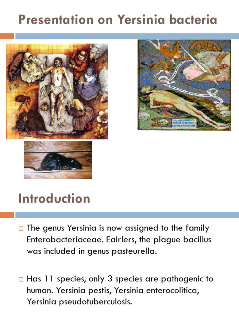 Lect 4 and 5. Yersinia and shigella-PG | PDF | Lipopolysaccharide | Science & Mathematics