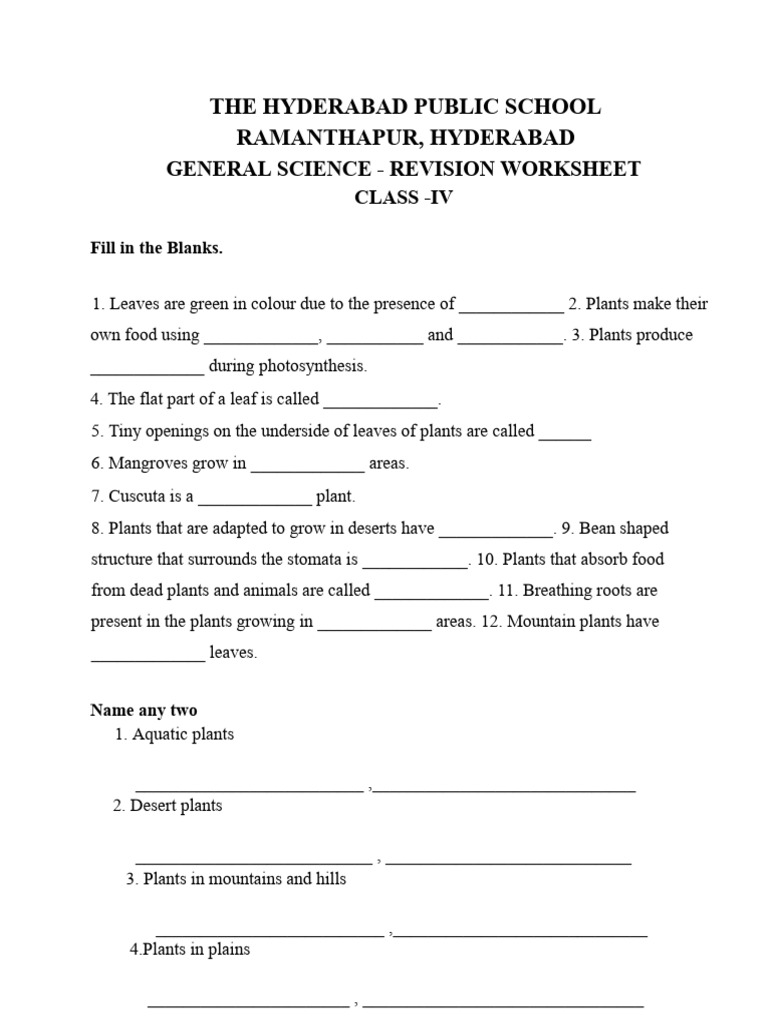 Class - 4 PT-1 Worksheet | PDF | Leaf | Plants