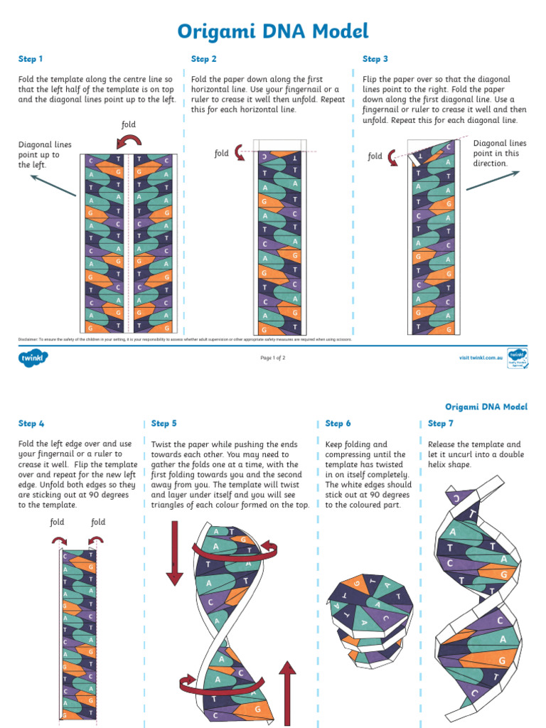 Model Instructions | PDF | Origami | Life Sciences