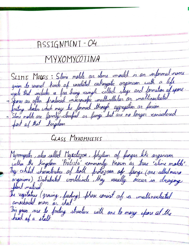 Fungi Part 2 Myxomycotina | PDF