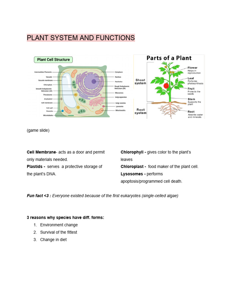 Biology 2 Lesson 1 | PDF | Cell (Biology) | Chloroplast