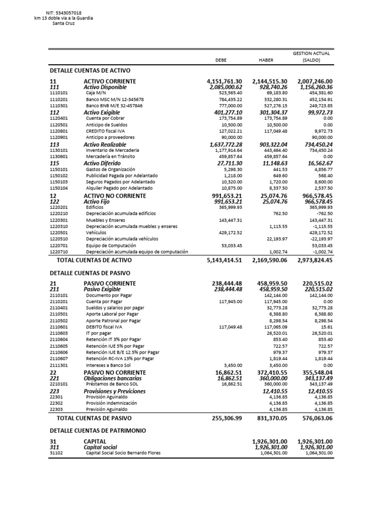 Balance General de Vision Plus | PDF