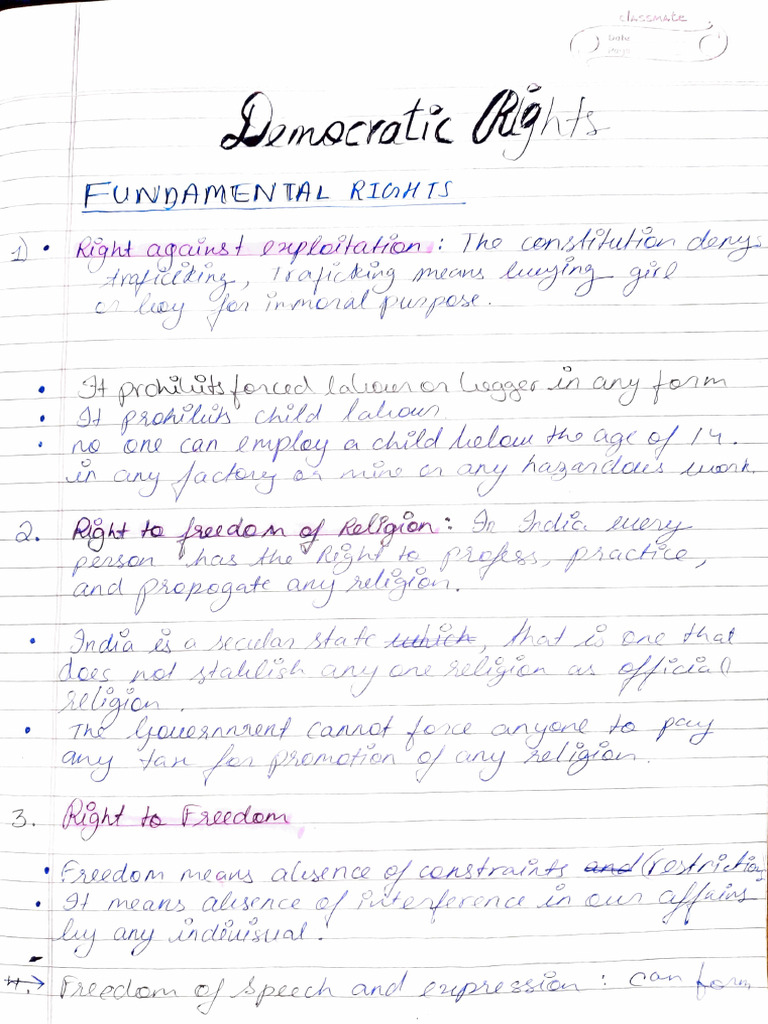 DEMOCRATIC Rights | PDF