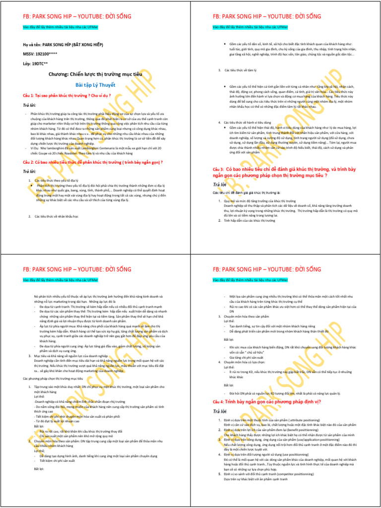 Bài t p Lý Thuy t: Chương: Chiến lượ ị trườ ụ | PDF