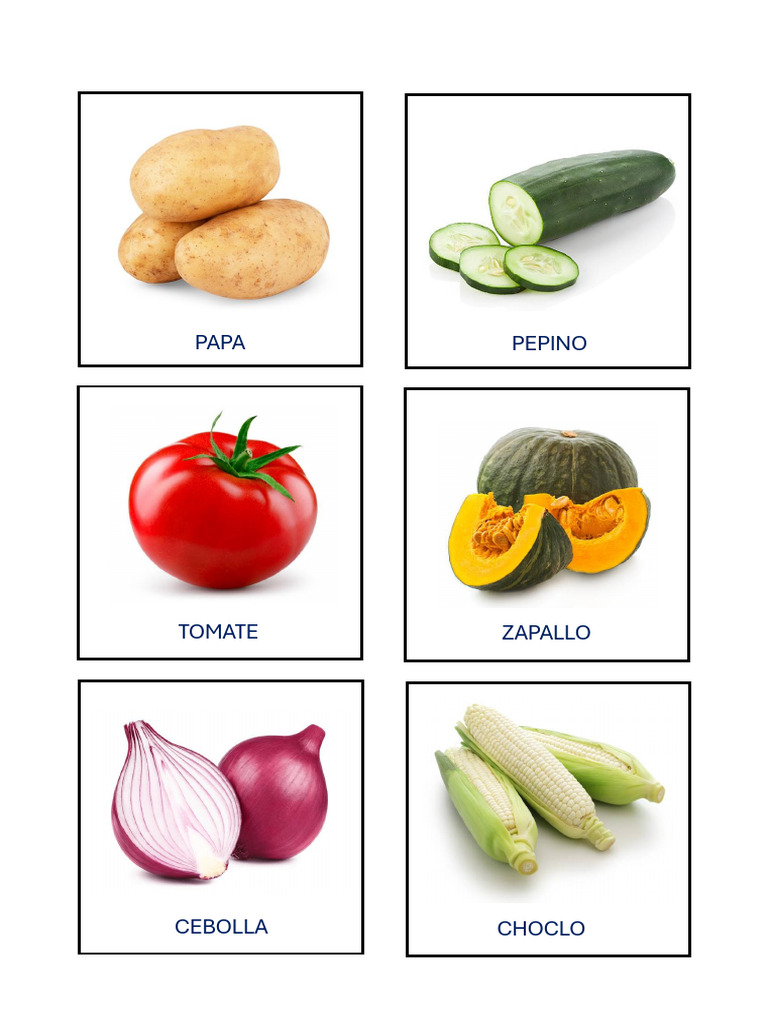 Verduras Pdf