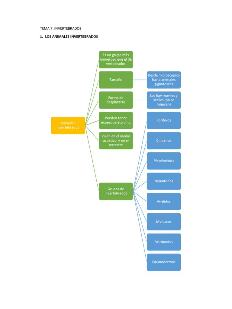 Esquemas Tema 7 | PDF