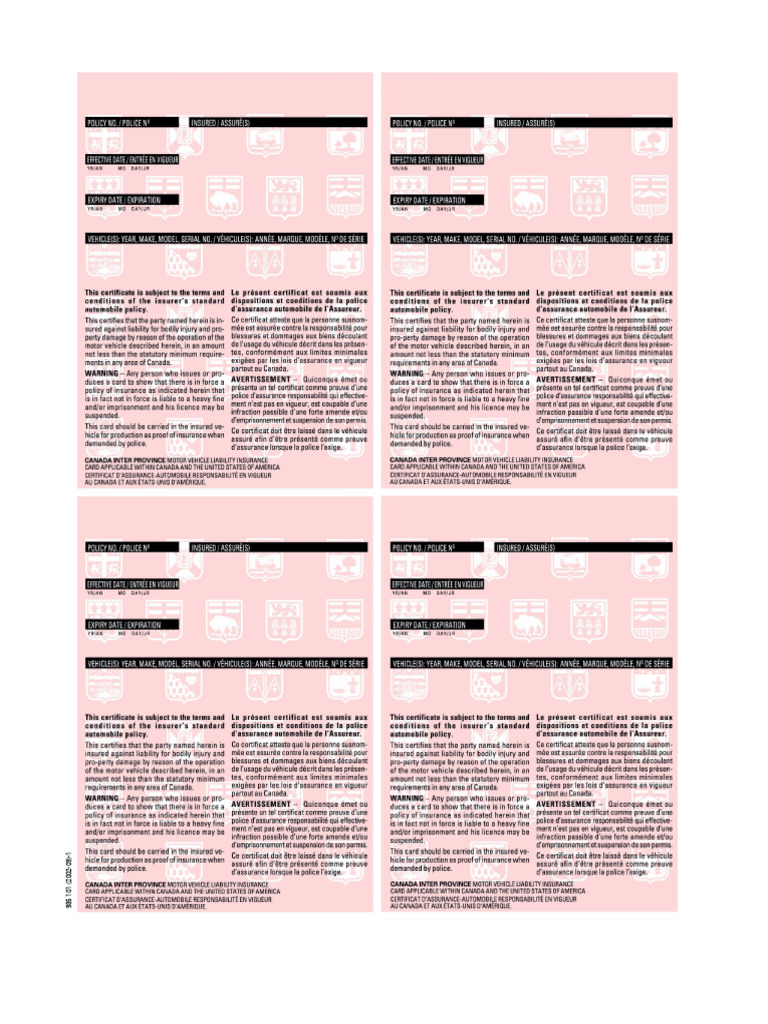 1997 Asrto pink slip | PDF