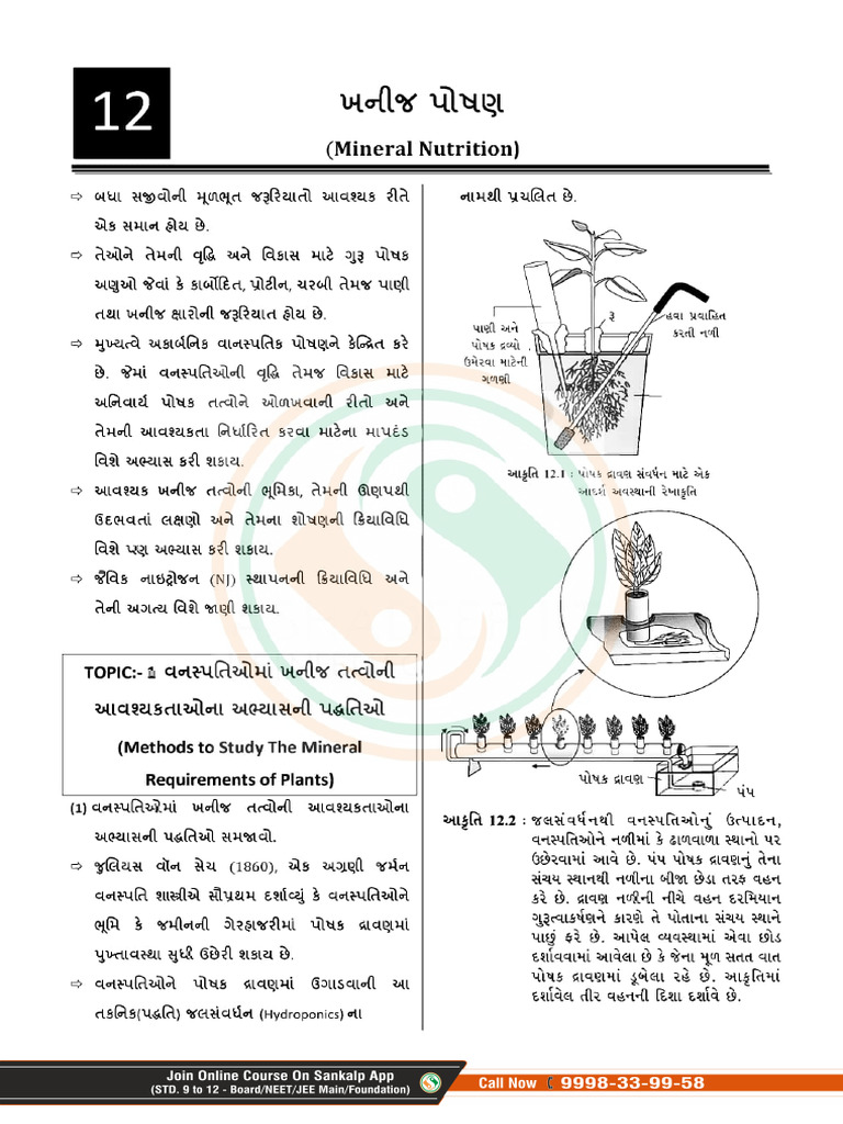 STD 11 Bio Ch12 Neet-Jee Module With DPP | PDF