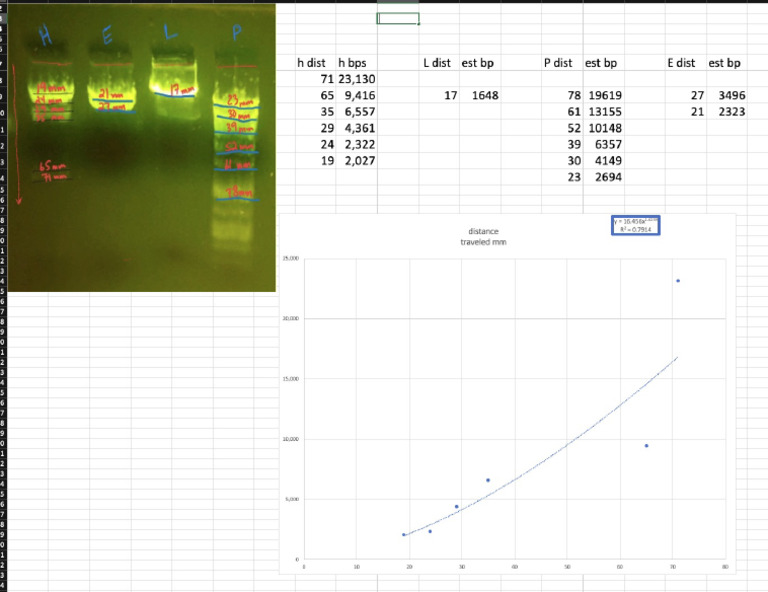 Chem Lab Excel Results 2024 | PDF
