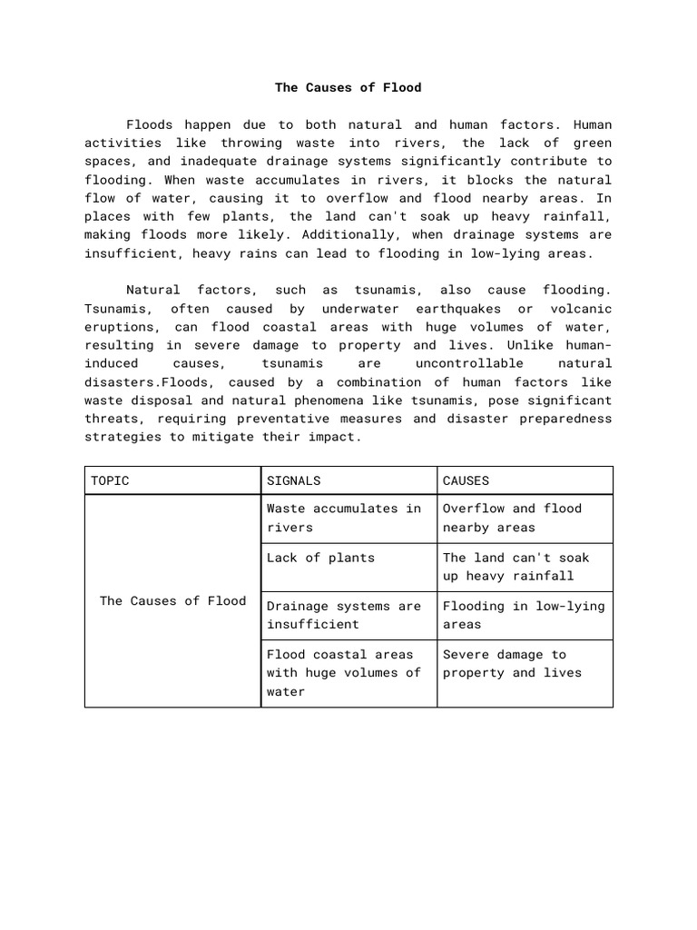 The Causes of Flood | PDF