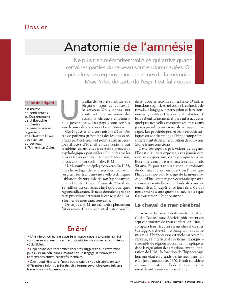 CM3 Neuro psycho Anatomie_amnésie | PDF