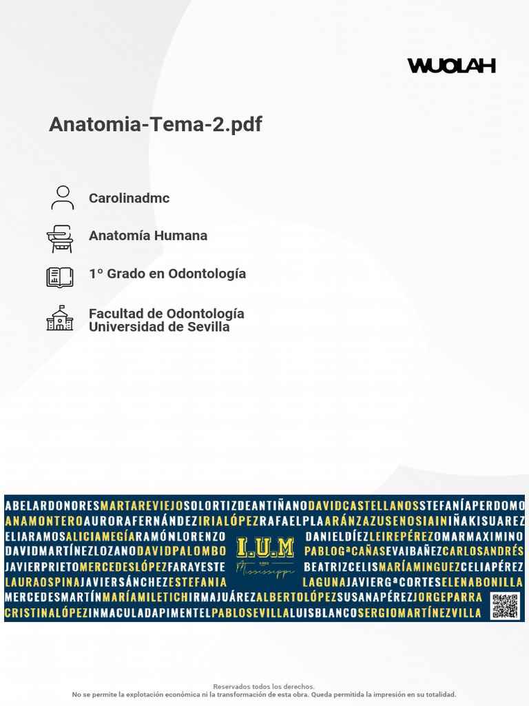 Wuolah Free Anatomia Tema 2 | PDF