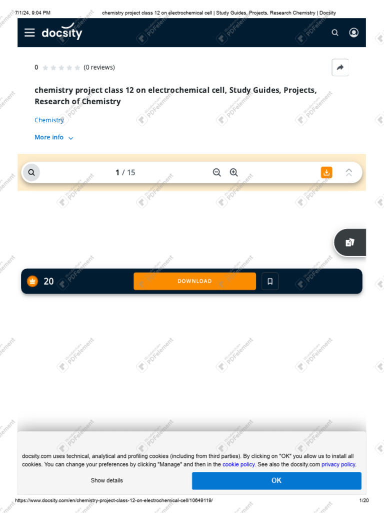 Chemistry Project Class 12 On Electrochemical Cell Study Guides ...