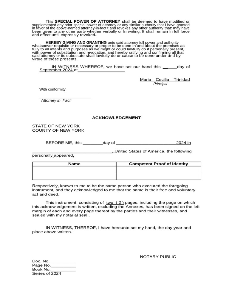 SPECIAL PQWEB Ot ATTTORNEY | PDF